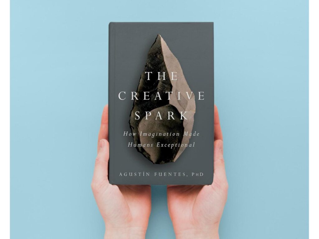 Home - Reader's Haven